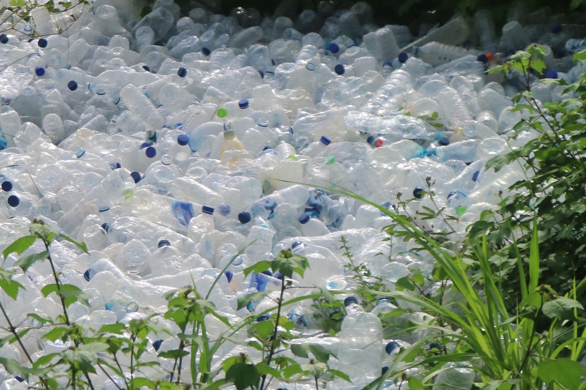 Circular Economy | Solving two global challenges water and waste ...